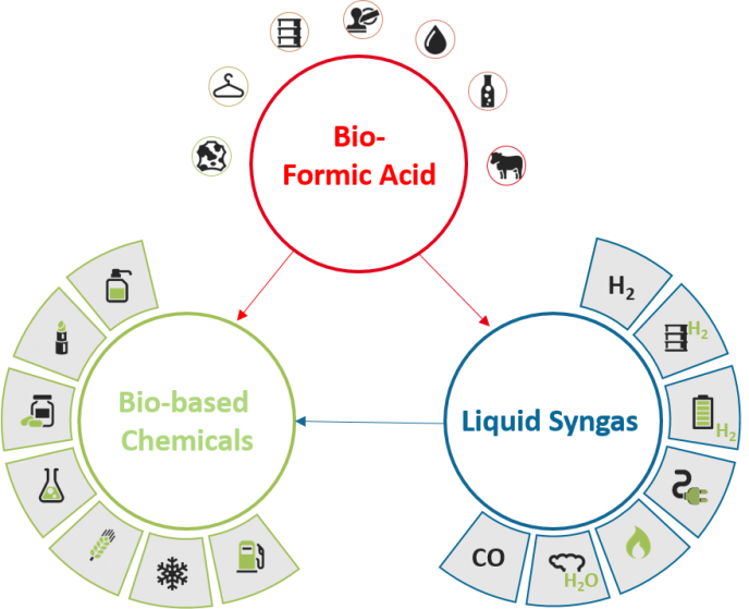 experts for catalytic oxidation and biobased chemicals
